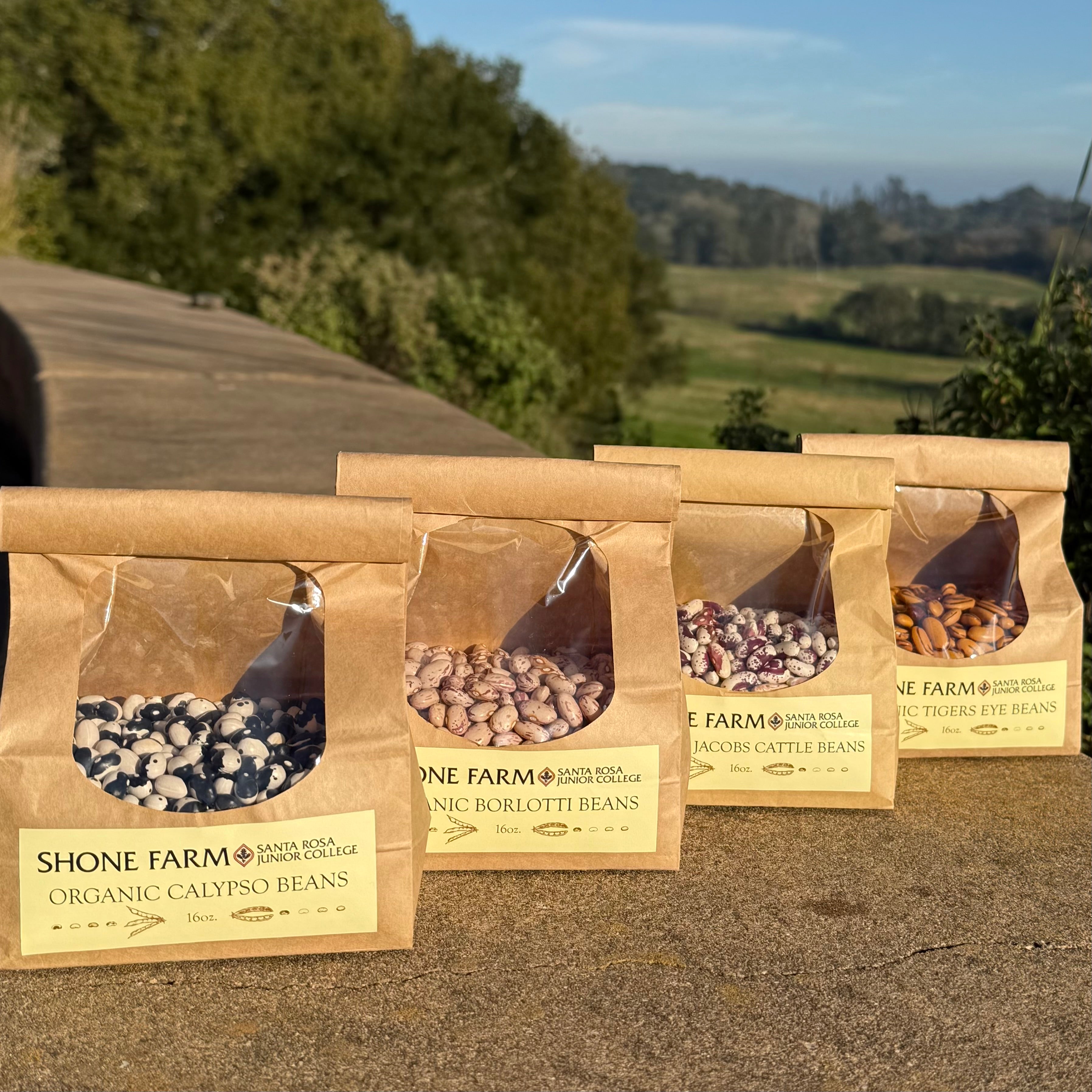 Beans | SRJC Shone Farm